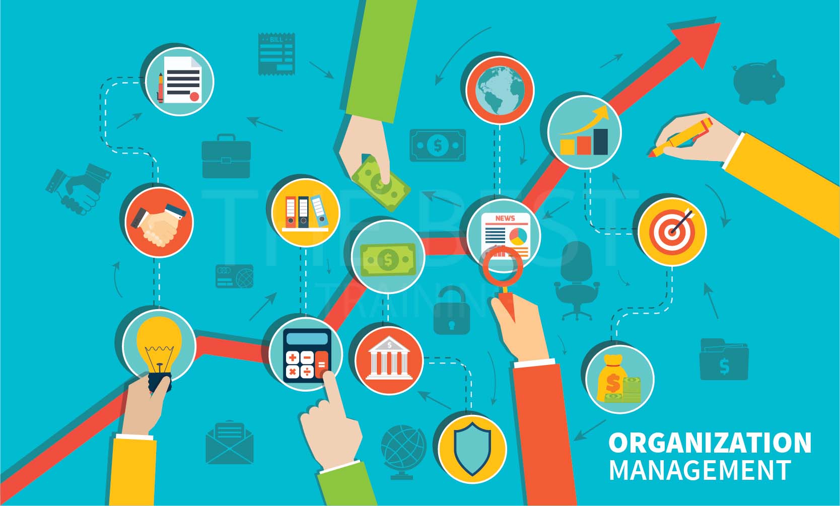 Organization Management - thebest-trainings.com